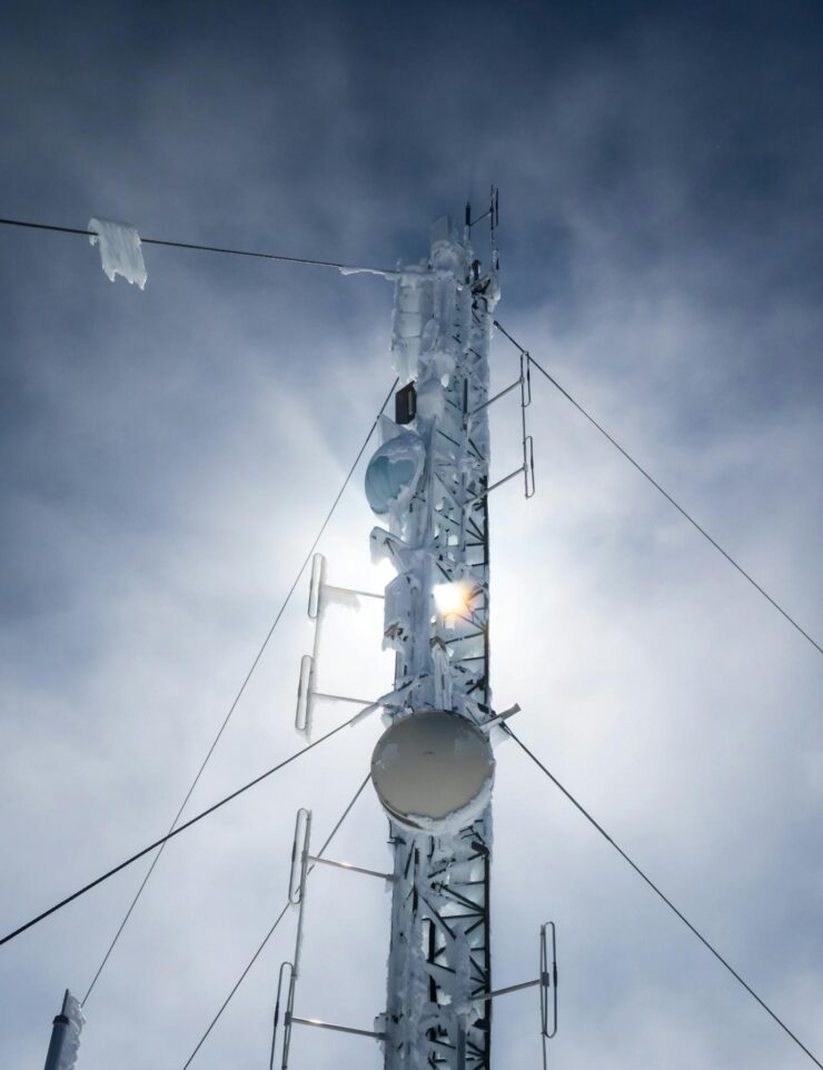 Who Owns Consumer Cellular? | Business Strategy Hub