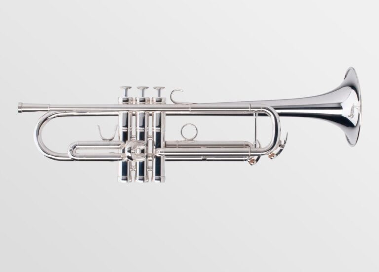 10 Best Trumpet Brands | Business Strategy Hub