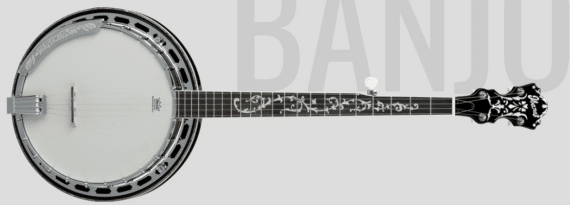 10 Best Banjo Brands | Business Strategy Hub