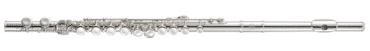 15 Best Flute Brands | Business Strategy Hub