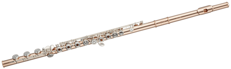 15 Best Flute Brands | Business Strategy Hub