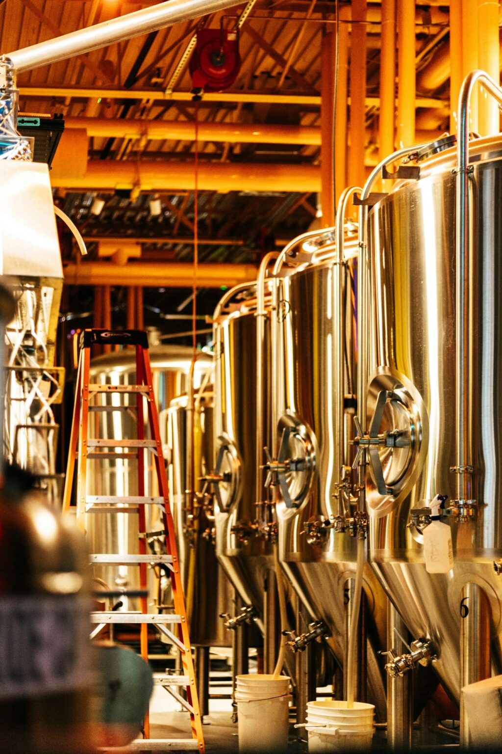 Who Owns Labatt | Business Strategy Hub