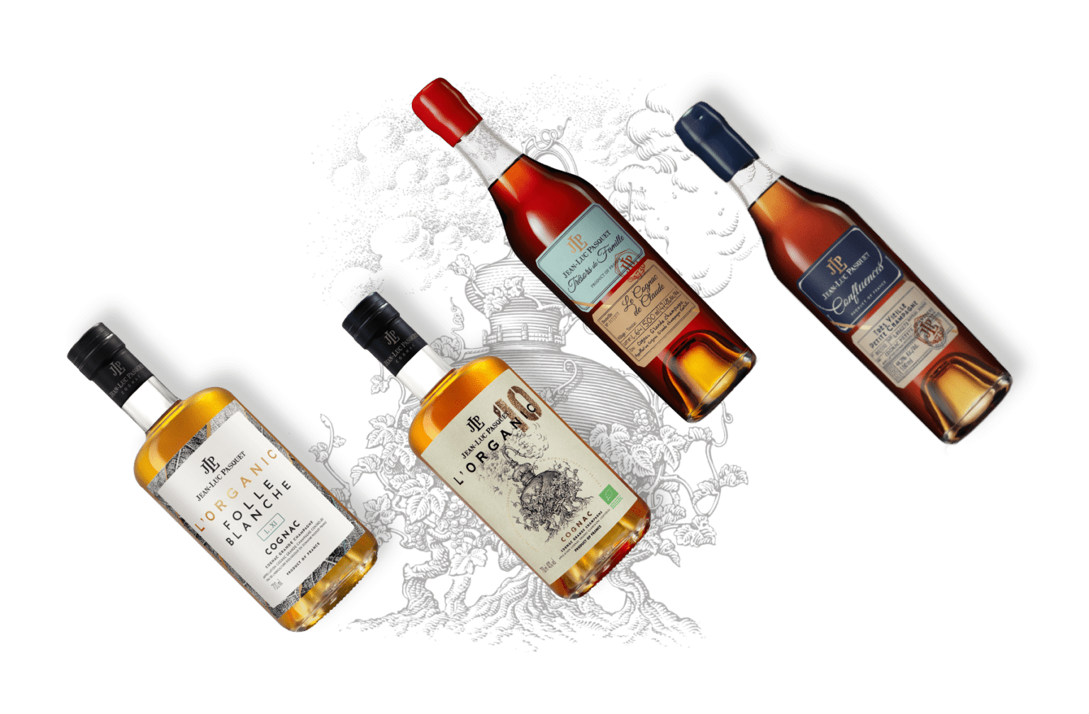 21 Best Cognac Brands | Business Strategy Hub