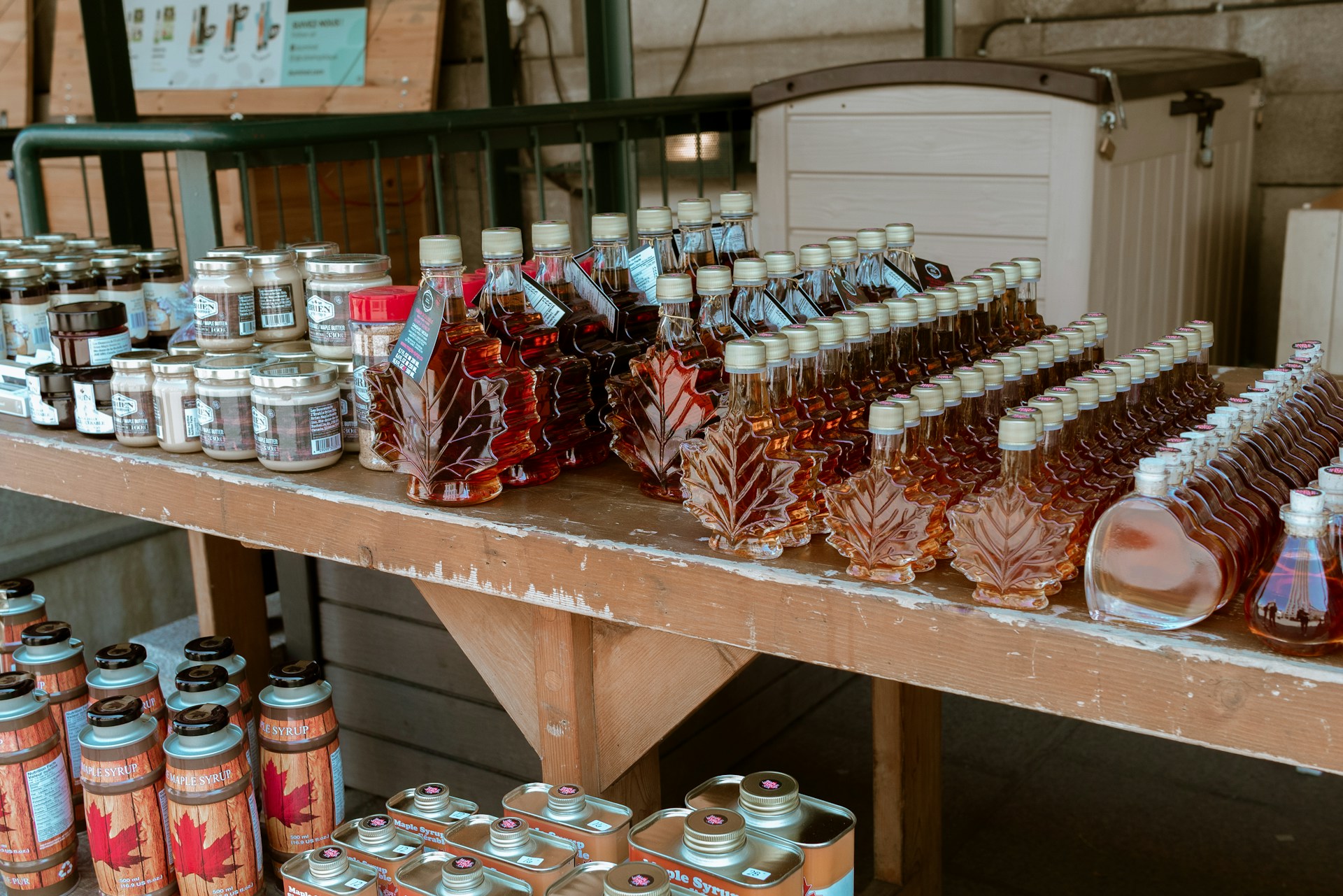 10 Best Maple Syrup Brands – TheSmallBig